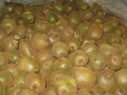 Spokane Produce: Tropical Fruits